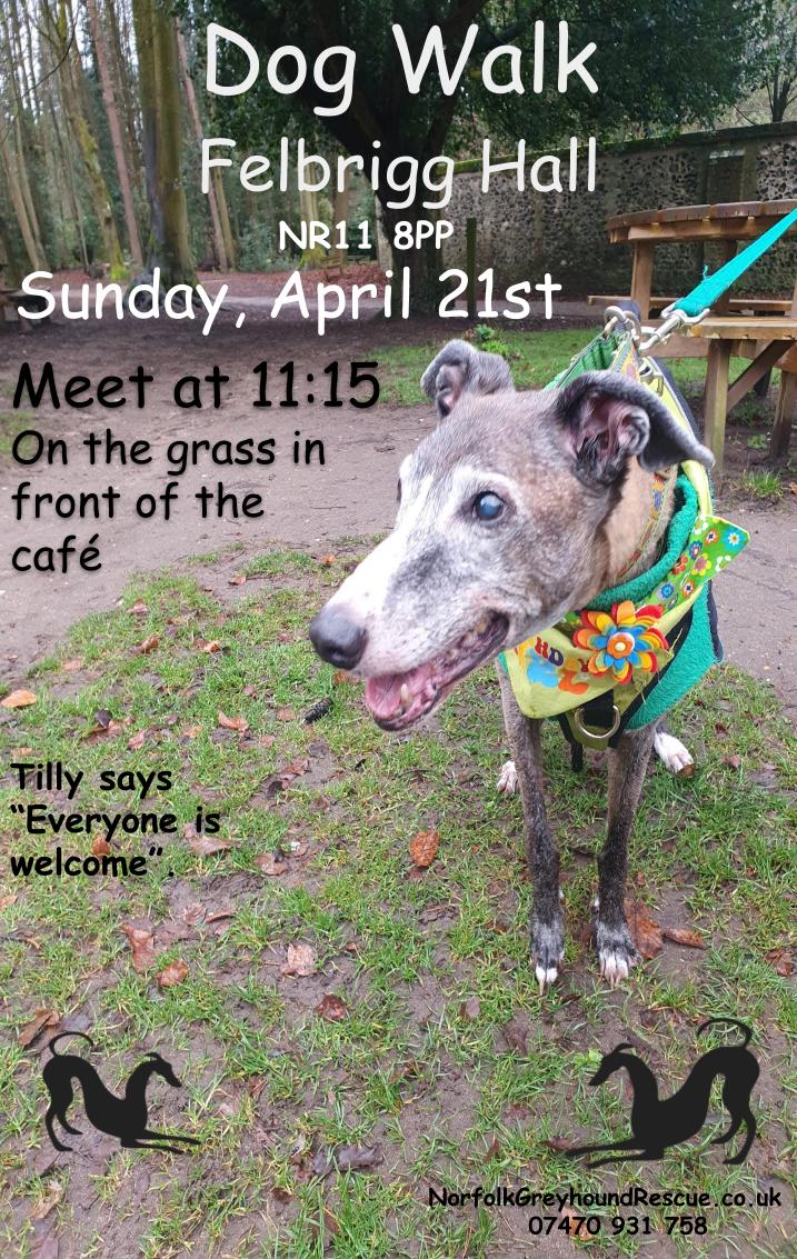 NGR April walk at Felbrigg – Norfolk Greyhound Rescue